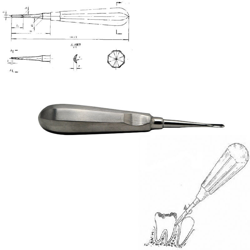 5x Dental Root Tip Elevator Luxating Extraction Stainless Steel ...