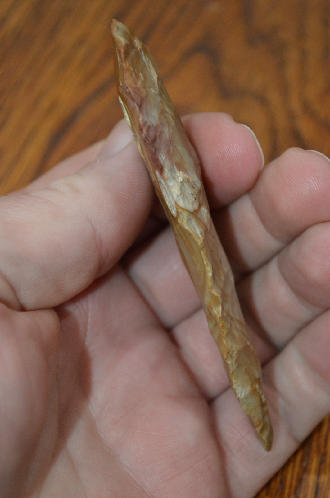 Colorful Tan & Gray Chert Woodland Blade Hughes Co, Oklahoma 3.15/16 x ...