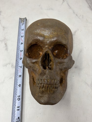 VTG Incredible Human Skull Cast - Unsure Of Material But HEAVY And ...