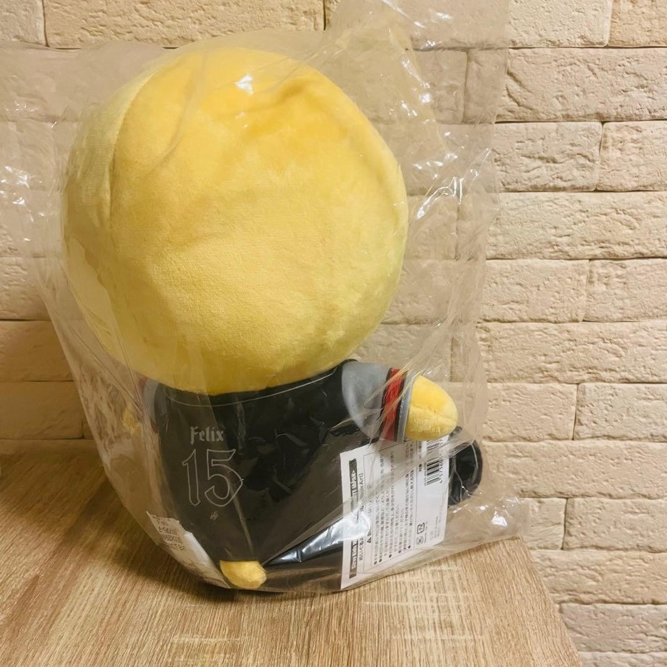 Stray Kids SKZOO POGORI Plush Doll Stadium Uniform Costume Official JYP ...