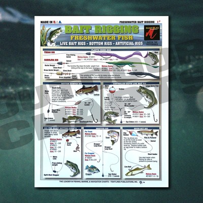 Bait Rigging Freshwater Fish Chart #1 (Live Bait Rigs, Bottom Rigs ...