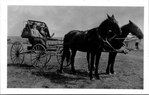 RPPC Horse Team Buggy Couple Blanket Hats c1910s photo postcard NP4 | eBay