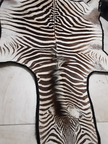Authentic Zebra Skin Leather Rug | eBay