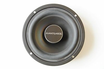 Magnat W135 CP 38 Tiefmitteltöner Avantgarde S 10 , 1 Stück | eBay