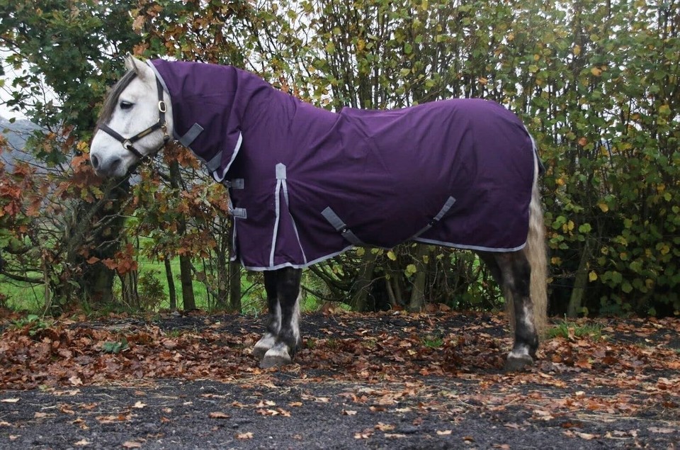 No Fill Turnout Horse Rug 6'3'' 6'6'' 6'0'' 6'9'' 5'9'' Waterproof Rug ...