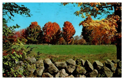 Chrome Postcard New England Rock Wall Landscape 1964 | eBay