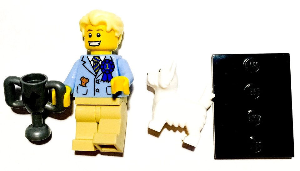 LEGO Minifigures Series 16 71013 Dog Show Winner Mini Figure Trophy | eBay