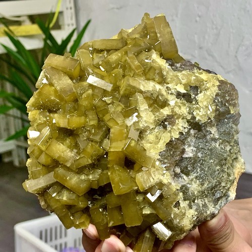 4.2LB Shiny Golden Cuboid Barite Crystal Based on the Purple Spherical ...