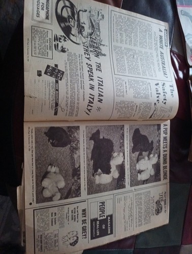 GLORIA PALL,JULIE MARTIN,SONIA GEHRMANN ANN BLYTH,TERRY MOORE,ELSA ...