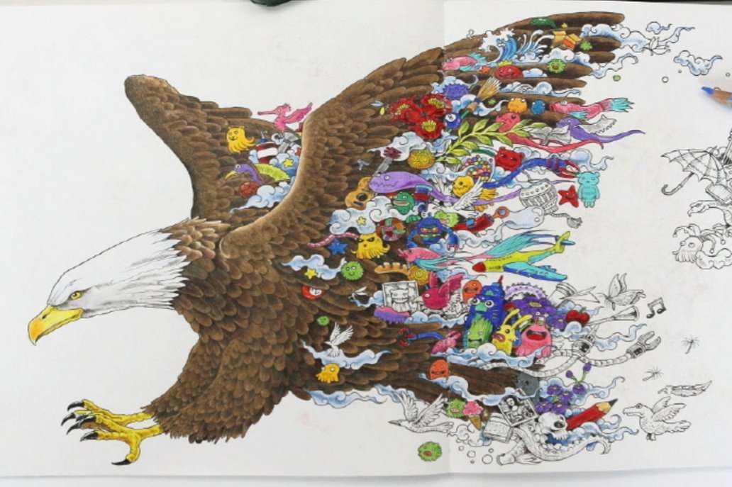 Animorphia Coloring Book Adult Gift Anti Stress Adult Fantasy Adventure ...