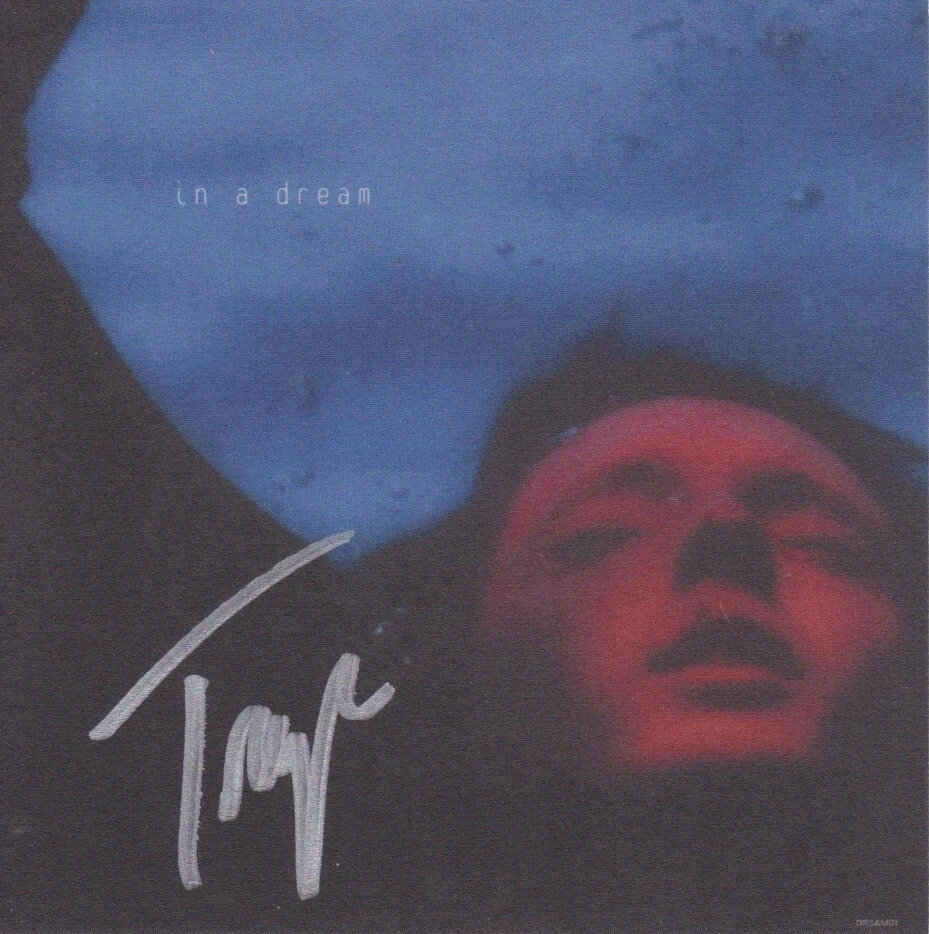 Troye Sivan Signature