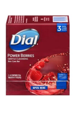 Dial POWER BERRIES 3 Bar 4 Oz Each Glycerin Gentle Skin Care | eBay