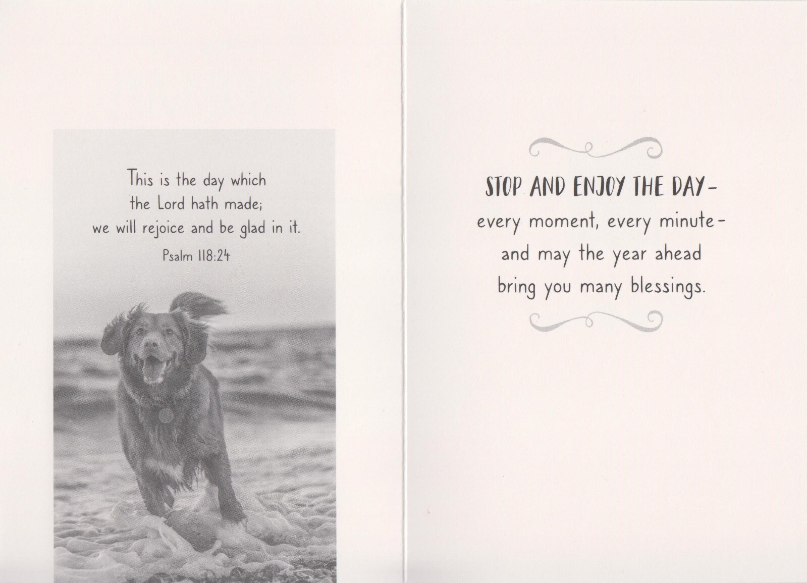 Birthday Playful Pals Greeting Card With Dogs Christian Scripture | eBay