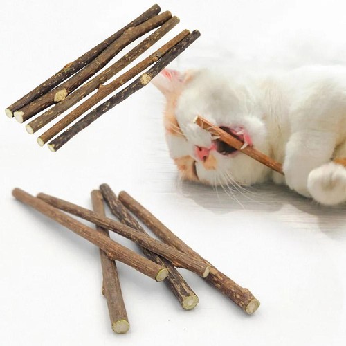 &5X Natural Matatabi Silvervine Dental Cat Sticks Catnip Chew Toy Teeth ...