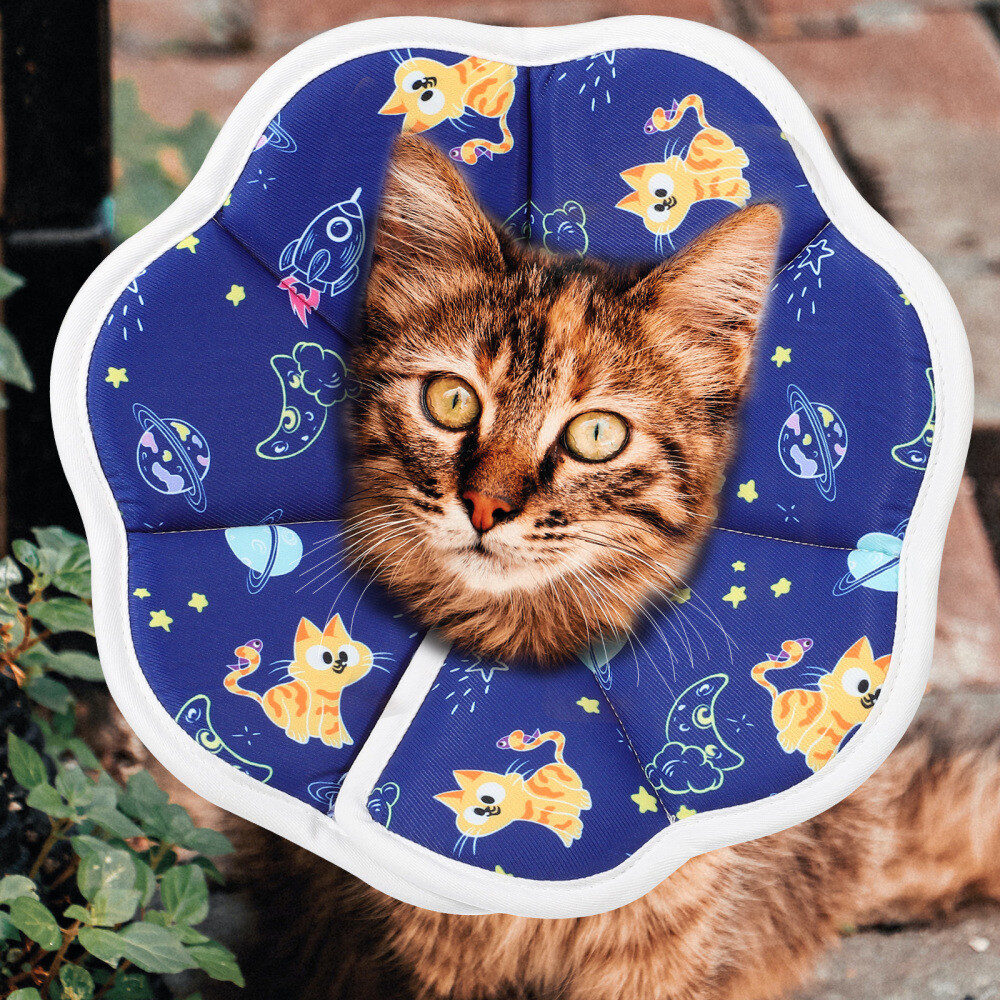 Soft Cat Cone Cat Cone Kudes Cat Small Dog Recovery Collar, Cute ...