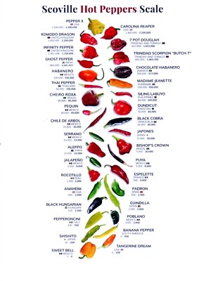 SCOVILLE HOT PEPPERS SCALE CHART 8.5X11 GLOSSY PHOTO REPRINT | eBay