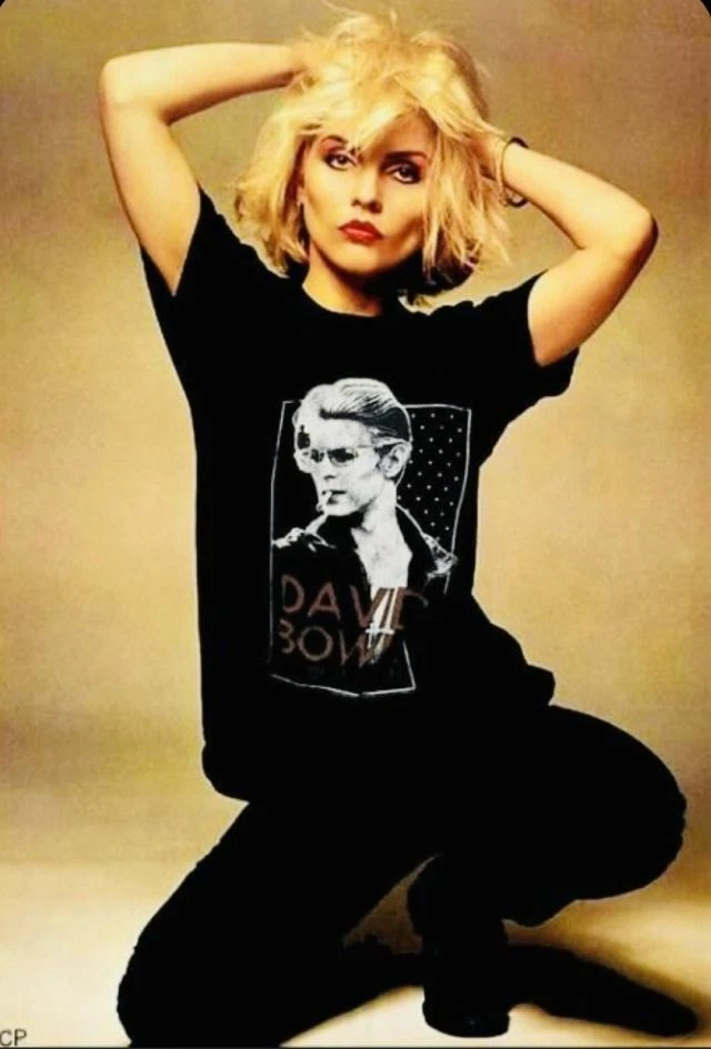 Debbie Harry Fashion Punk
