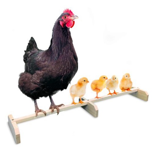 Wooden Chicken Perch Chicken Roost Accessories Chicken Wood Stand Bird ...
