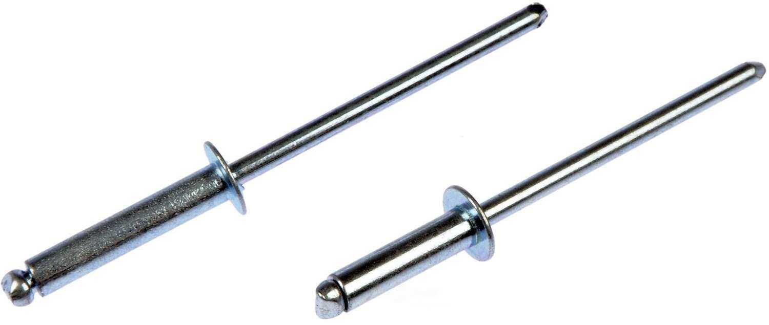 Steel Rivet Assortment Dorman 961-020 for sale online | eBay