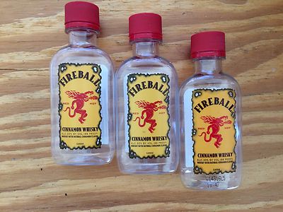 Fireball 100 ml Plastic Bottles (3) | eBay