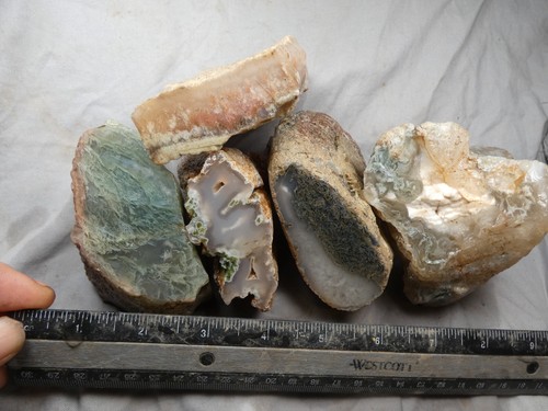 oregon moss agate rough 6 lbs | eBay