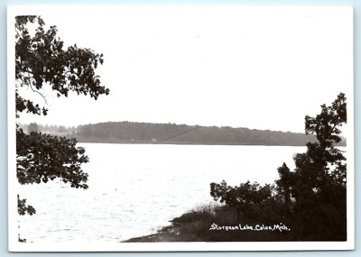 POSTCARD RPPC Sturgeon Lake Colon Michigan 1950's | eBay