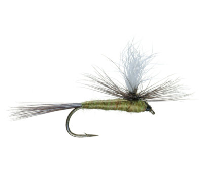 Parachute Blue Winged Olive BWO Trout Dry Fly Fishing Fly - Hook Size ...