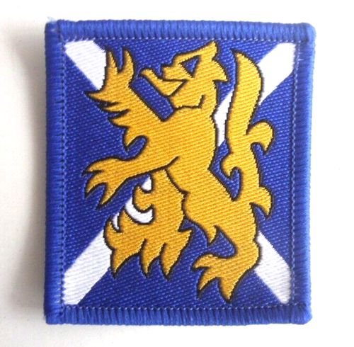 INFANTRY TRAINING DEPOT SCOTLAND TRF BRITISH ARMY DZ INFANTRY | eBay