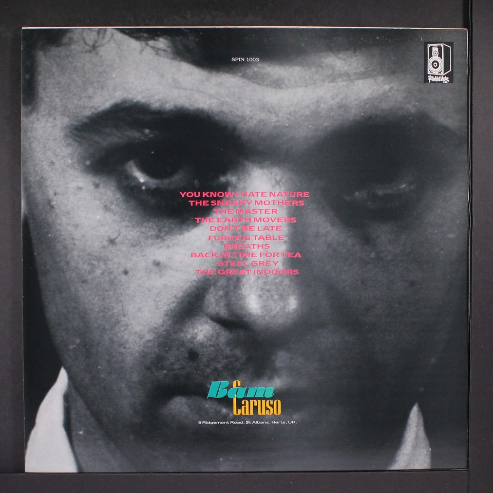 NICK HAEFFNER: the great indoors REVOLVER 12" LP 33 RPM | eBay