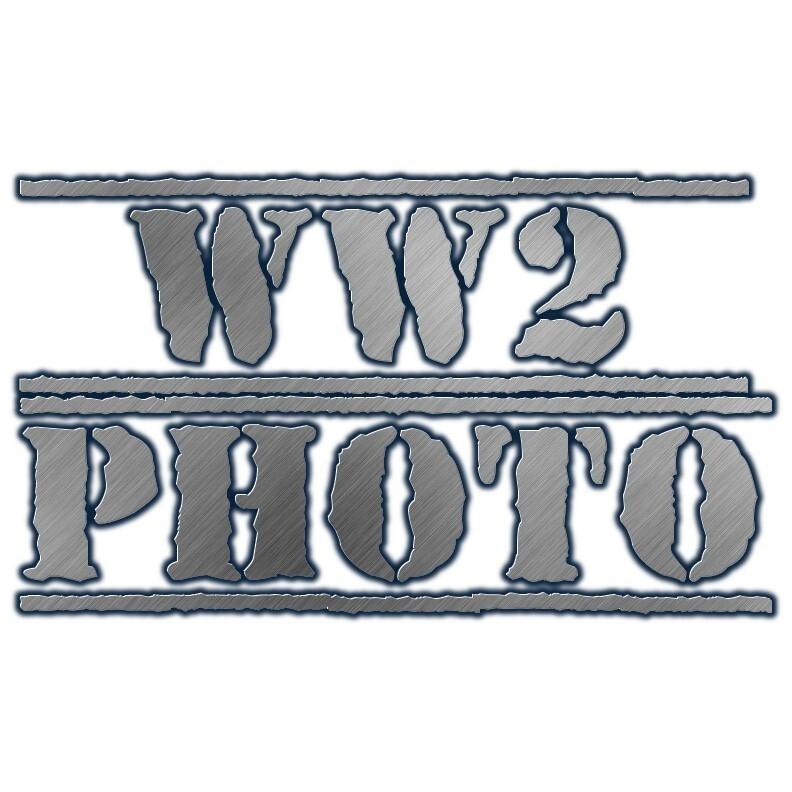 nice vintage classic military fox retro WW2 Photo Glossy 4*6 in X49 | eBay