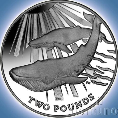 2013 BLUE WHALE - Sterling SILVER Proof Coin South Georgia & Sandwich ...