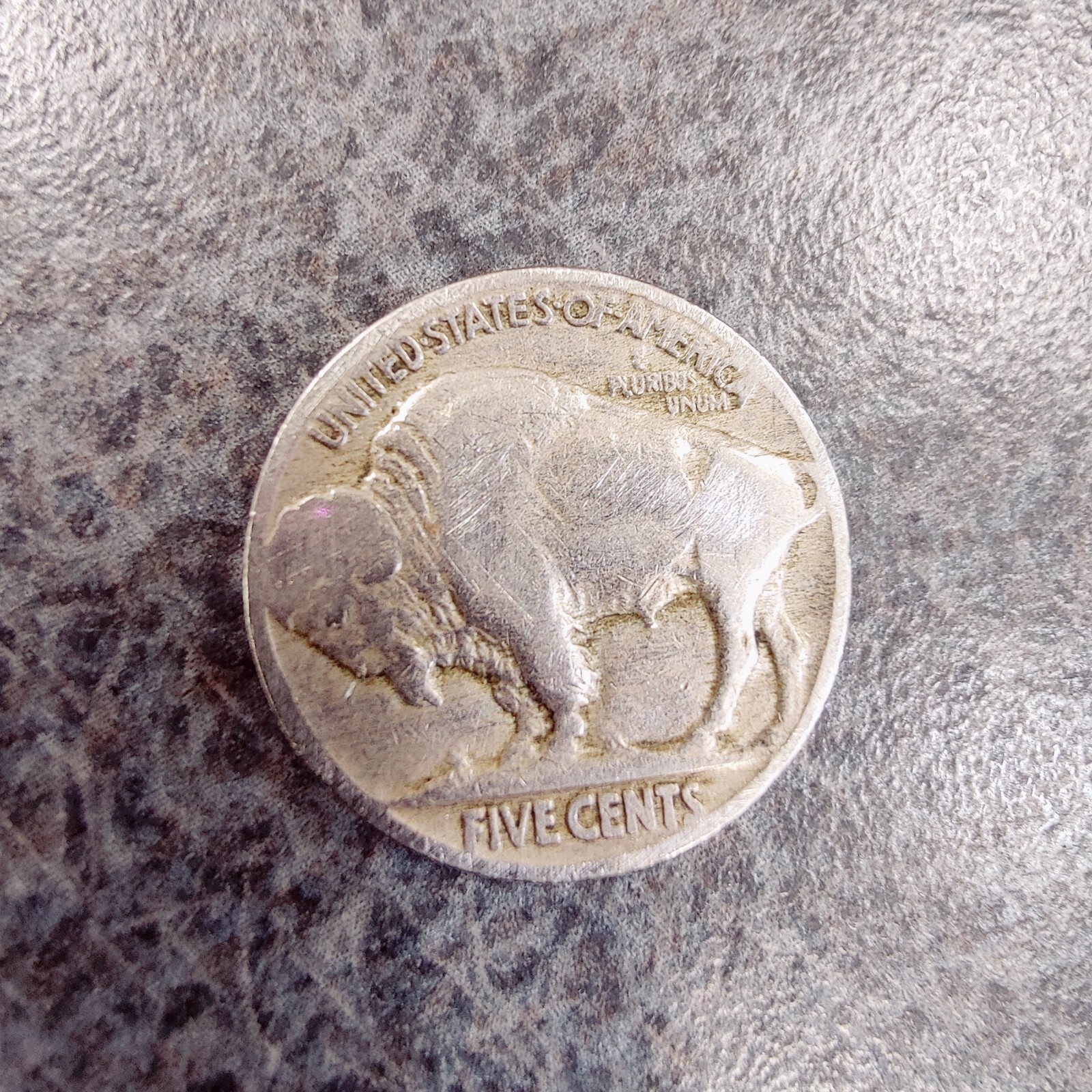 Indian Head bison back Nickel no date on coin. | eBay