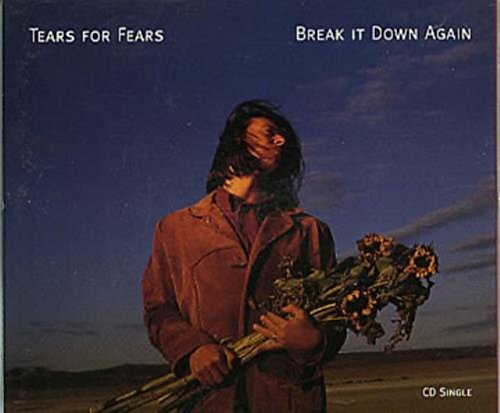 TEARS FOR FEARS - Break It Down Again / Bloodletting Go - CD - Single ...