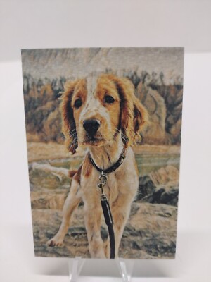 COCKER SPANIEL PUPPY CUTE DOG ACEO ATC Sketch Card - 1/1 print OOK | eBay