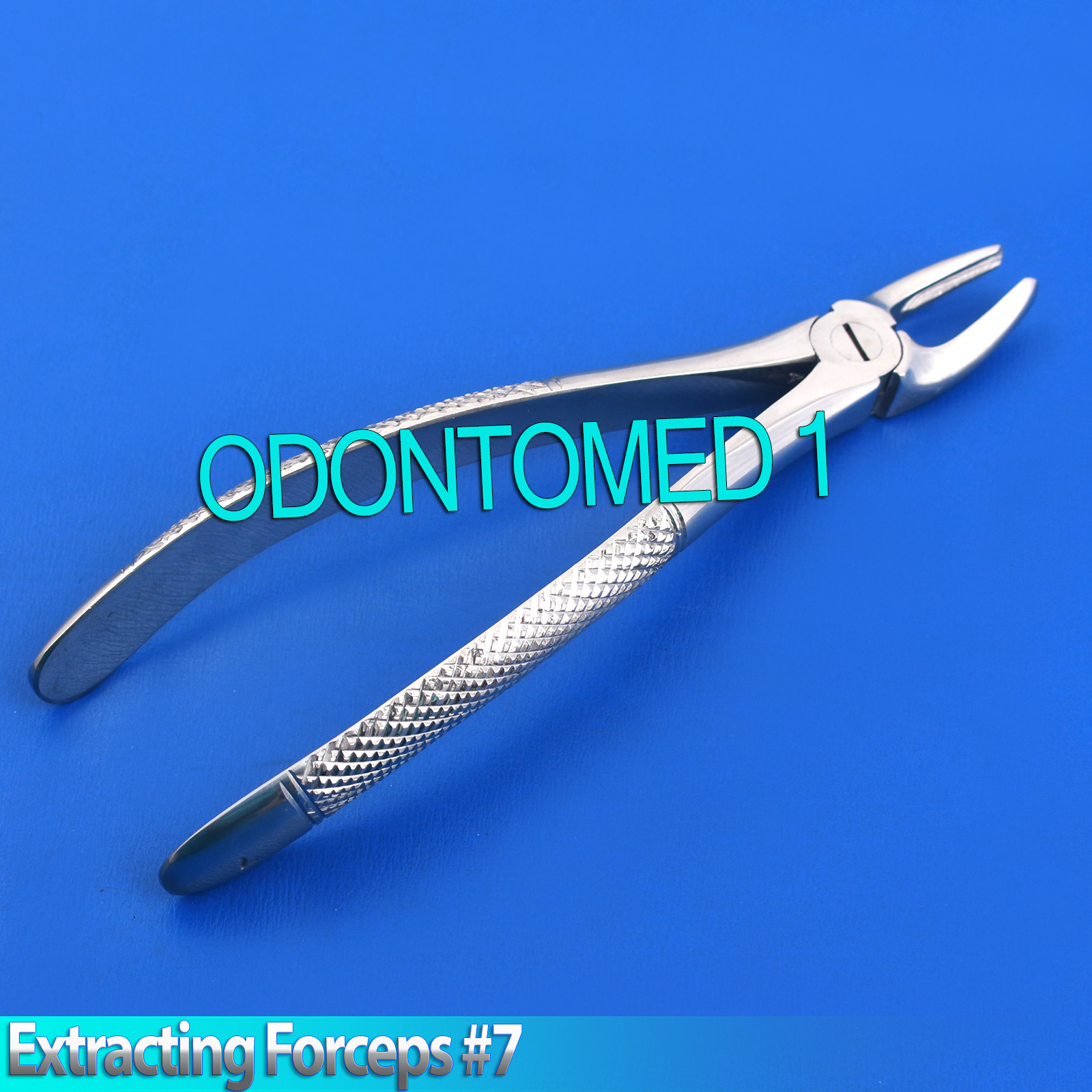 Dental Oral Surgery Extraction Forcep No. 7 for Upper Premolars Dental ...
