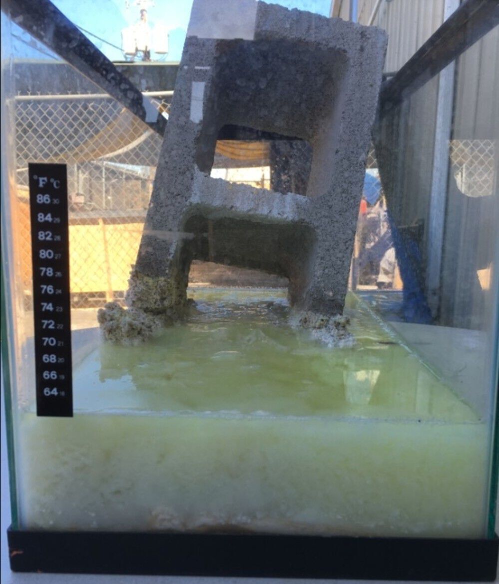 Bullseye Products Super Quick Concrete Dissolver 22Oz | eBay