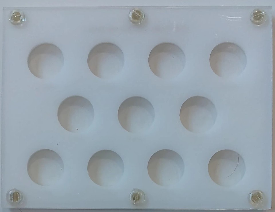 Capital Plastic Coin Holder Lot: 20th Century Type Roosevelt Nickel ...