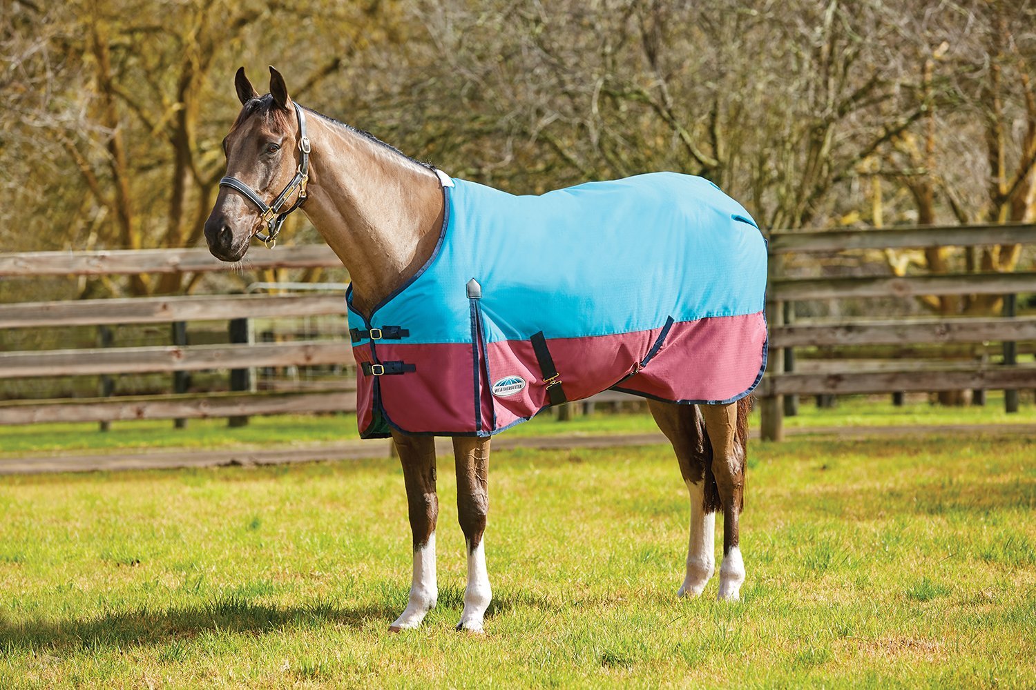 WEATHERBEETA COMFITEC CLASSIC Standard Neck Medium Lite Weight 100g ...