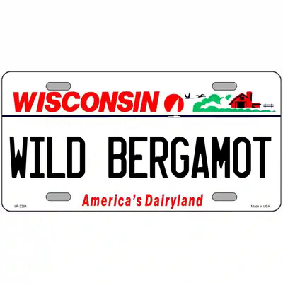 Wild Bergamot Wisconsin Metal Sign | eBay