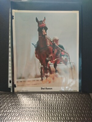 Bret Hanover, Champion/HOF Pacer, Frank Ervin, Framed Print - NICE ...