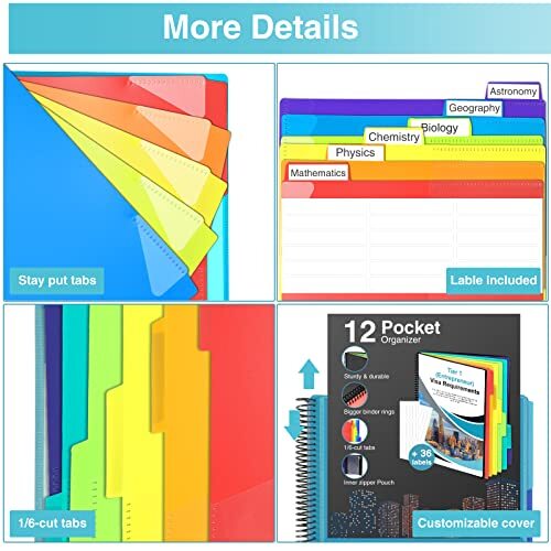 Project Organizer, 1/6-cut Tab Binder Organizer w Sticky Sky Blue 12 ...