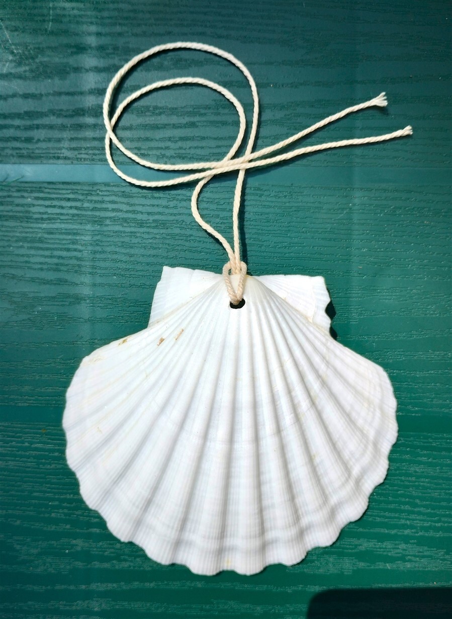 Camino de Santiago Pilgrim Scallop Shell - Pilgrim Rucksack Shell | eBay