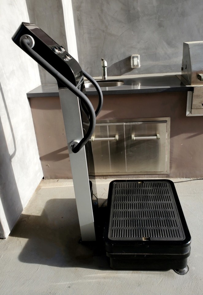 Dual Motor 1500w Whole Body Power Vibe Vibration Plate Exercise Machine ...