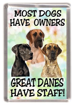 Great Dane Dog Fridge Magnet "Most Dogs Have Owners Great Danes Have ...