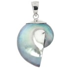 925 Sterling Silver Blue Iridescent Nautilus Shell In Sterling Pendant ...