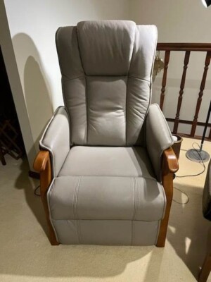 Triumph W0200344 Dual Motor Lift Chair | eBay Australia