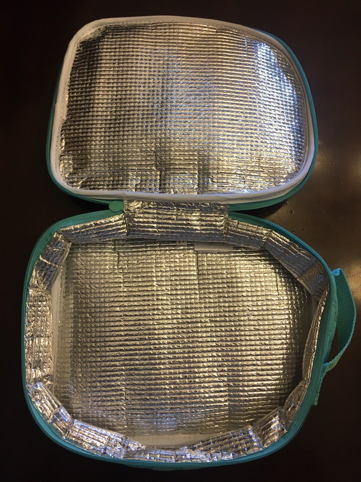 Thirty One 31 Gifts Lunch Buddy Thermal Aqua Green Lunch Bag Backpack ...