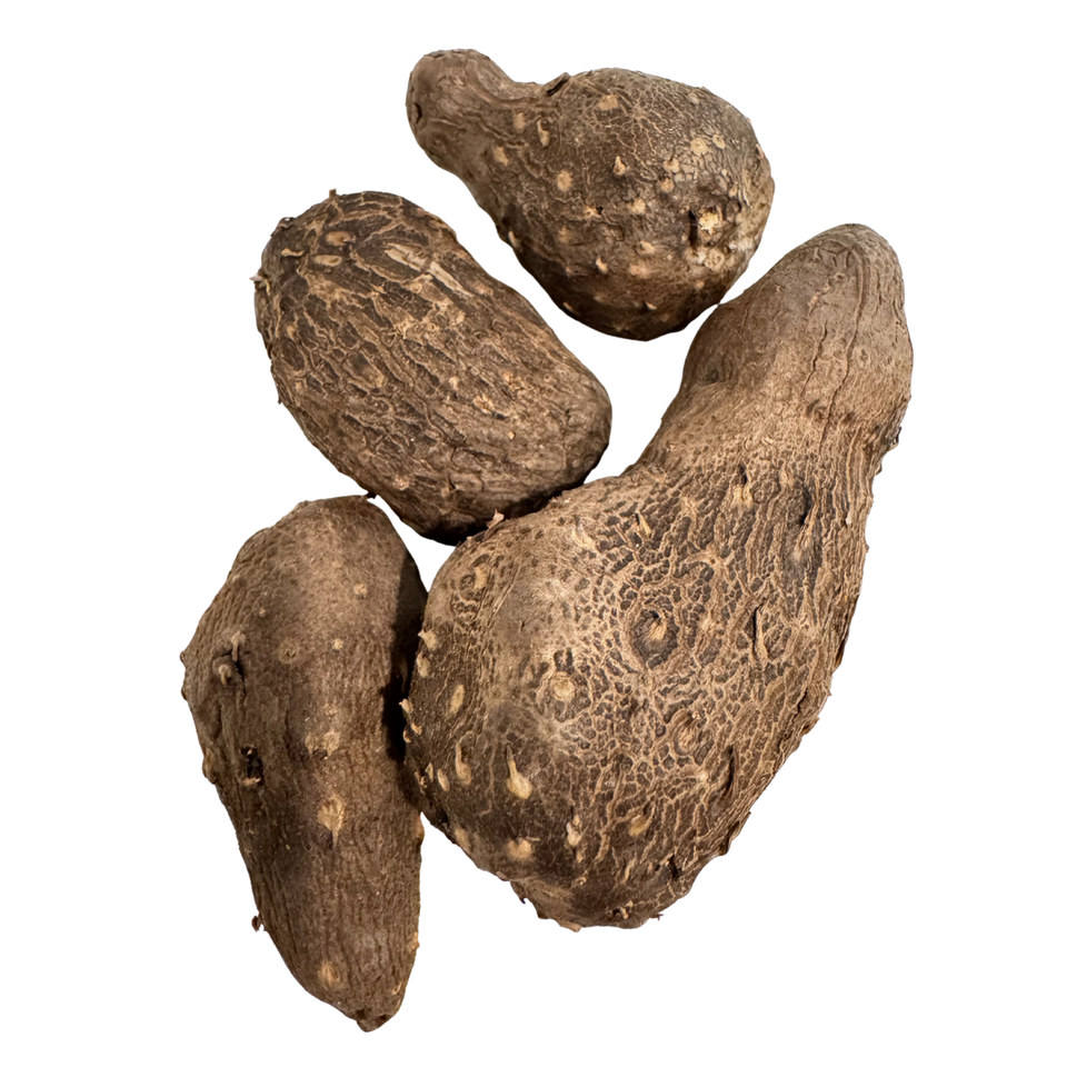 Dioscorea Alata White Name Yam Bulbil – Rare Edible | Grown in My ...