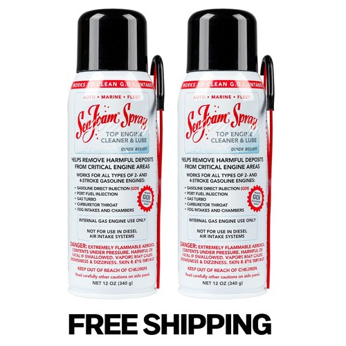 Sea Foam Spray Intake Valve and Upper Engine Cleaner SS14 12 oz Pack of ...