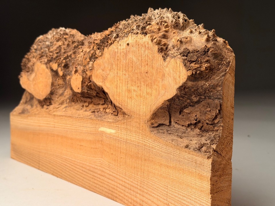 Crook Blanks Wood Burr Elm Resin Live Edge Turning Clock 13x7x1.5 inch ...